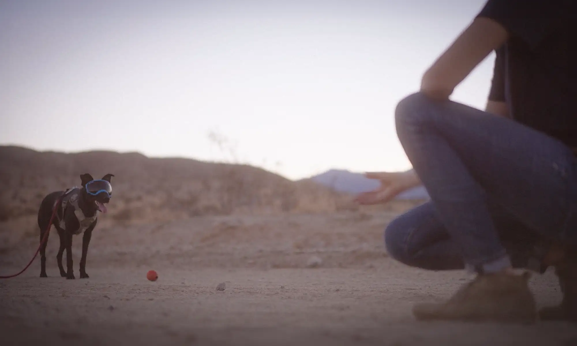 Flightpath — Artifact Studios